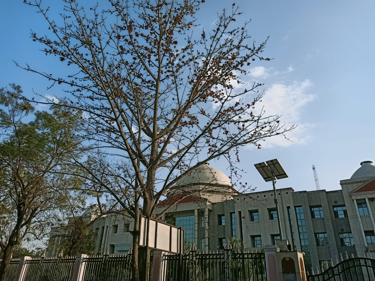 University Research & Development (URD) - Chhatrapati Shahu Ji Maharaj ...